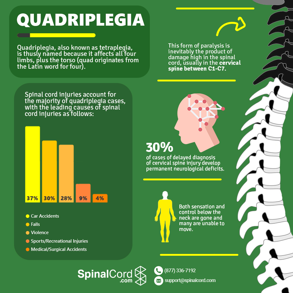 Disability || Understanding Types of Paralysis - by Martin Brown