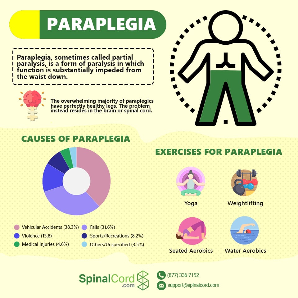 Disability || Understanding Types of Paralysis - by Martin Brown